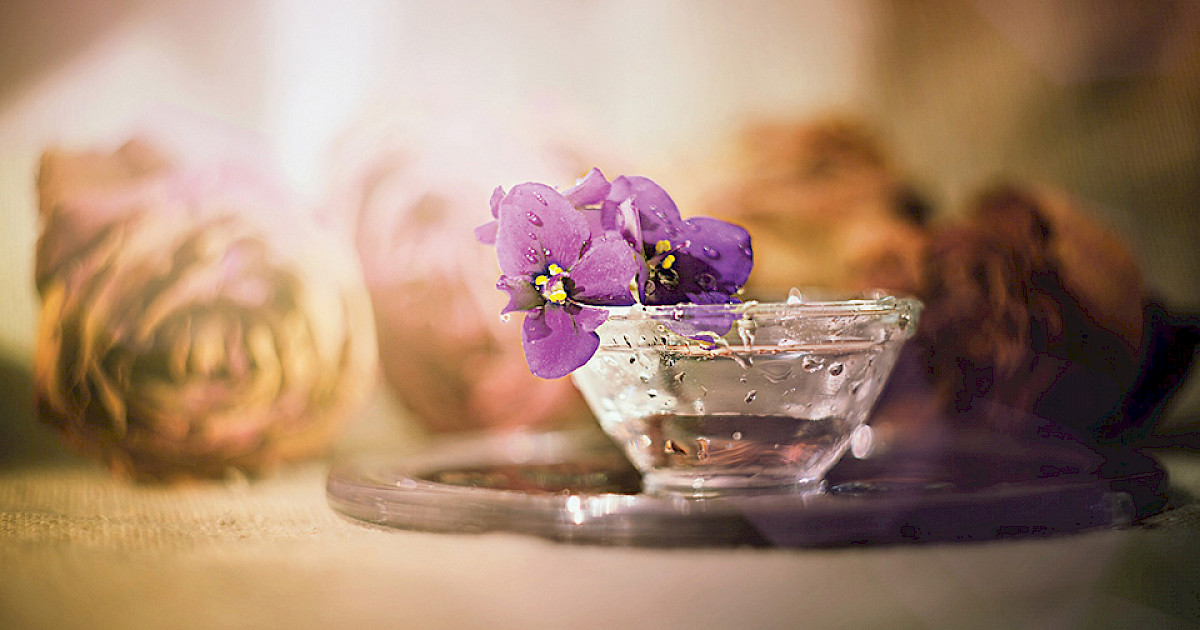 El-Asr - Zdravstvene koristi hidžame