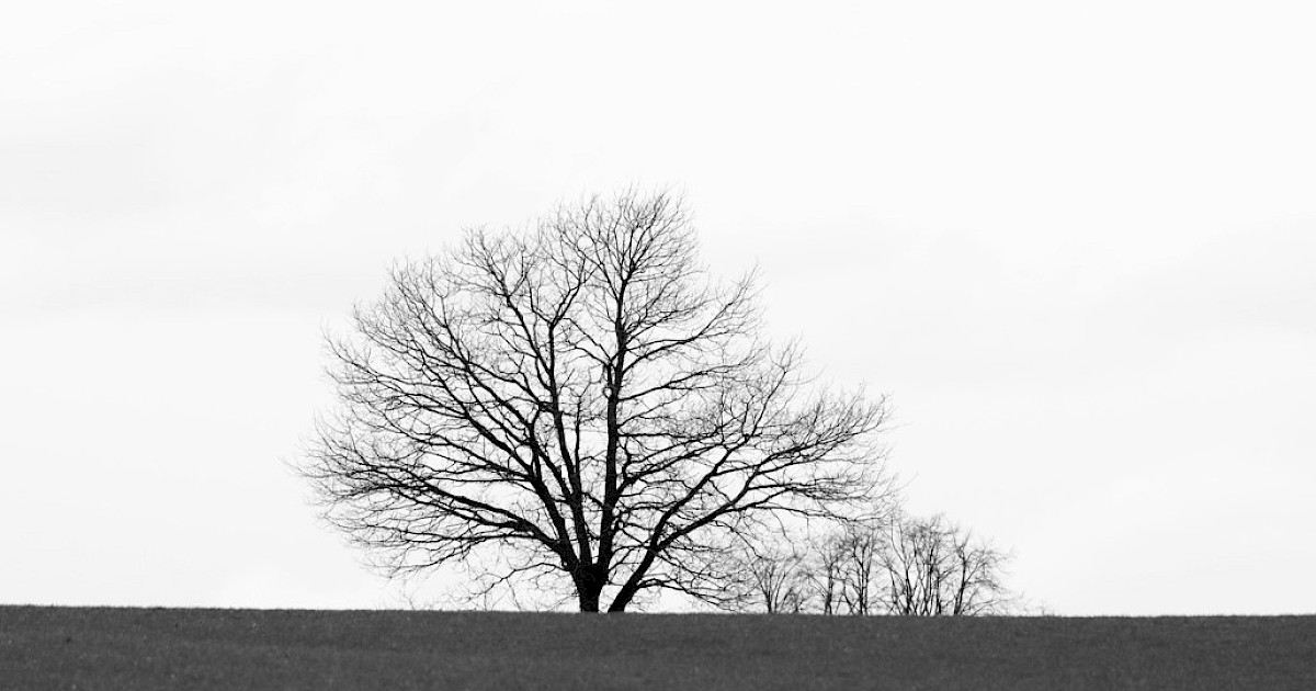 El-Asr - Gluhi, nijemi i slijepi